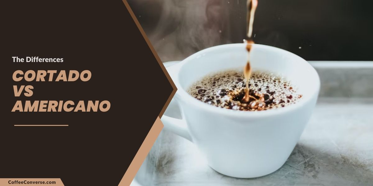 Cortado vs Americano: The Differences You Need to Know - Coffee Converse